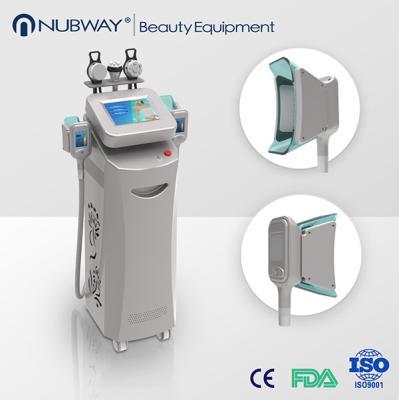China Cryolipolysis Machine Slimming/Cryolipolysis Machine CE Approved for sale