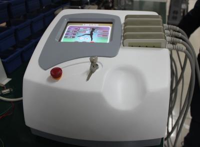 China best fat Cellulite Reduction lipo diode laser slimming machine for sale