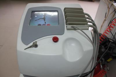 China Fat Terminator 6 paddles dual wave 650nm+808nm lipo laser slimming machine laser slim lipo for sale