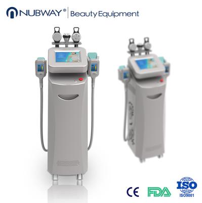 China innovative new products:weight loss equipment cryolipolisis slimming machine for sale