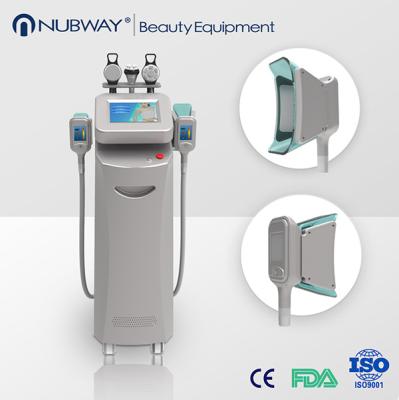 China Physiotherapy latest fat removal techniques cryogenic fat reduction 24 hours working for sale