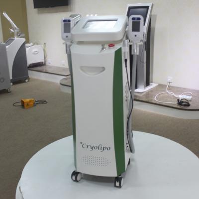 China strong cooling 2 handles working simultaneously cryolipolysis machine NBW-C122 for sale