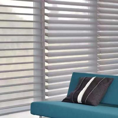 Cina Finiture morbide personalizzate lussuoso tessuto Shangrila blind con filtro della luce in vendita