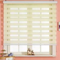 China Contemporary Design Style Customized Request Blackout Window Zebra Blinds for Study for sale
