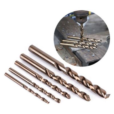 China Metal Drilling HSS DIN338 Worker Length Twist Drill Bit For Steel Aluminum Metal Hole Drilling Te koop