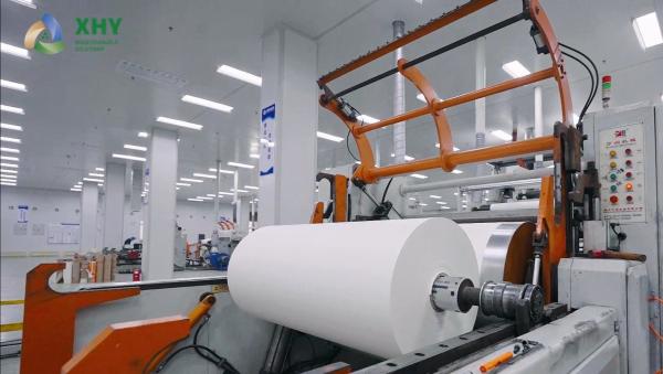 Quality Single PE Coated Paper Roll Raw Material for Paper Cups for sale