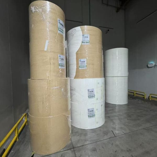 Quality Greaseproof and Water Resistant PE Coated Paper Roll for Frozen Food Packaging Custom Sizes Available for sale