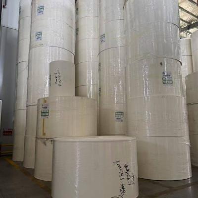 China FSC Packaging Custom Print Double PE Logo Coated Printed Paper Cup Roll Raw Material for Paper Cups for sale