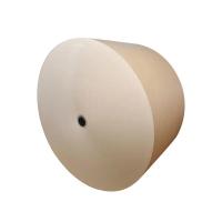Quality PLA Coated Paper Roll for High-Temperature Resistant Food Packaging Solutions for sale