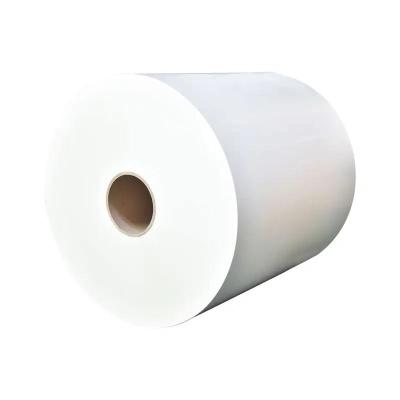 Cina Colore e logo personalizzati per rotoli di carta patinata PE per branding e marketing in vendita
