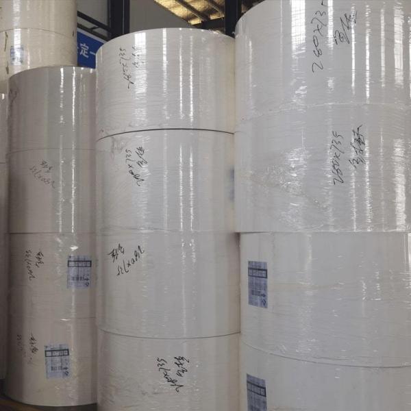 Quality Biodegradable PLA Coated Paper Roll for Food Packaging Solutions for sale