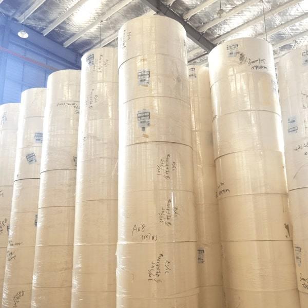 Quality Eco-Friendly PLA Coated Paper Roll for Food Packaging Solutions for sale