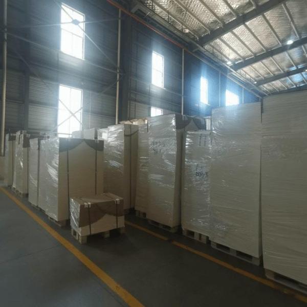 Quality PLA Coated Paper Sheet for Sustainable Packaging Solution for sale