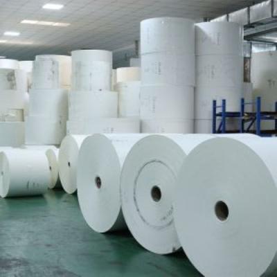China Custom Offect Flexographic Printing 100% Biodegradable PLA Coated Paper Cup Roll for sale