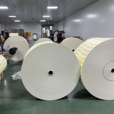 China Single PLA Coated Cup Bottom Paper in Roll White Paper Roll for 100% Biodegradable Paper Cups Bottom Rolls for sale