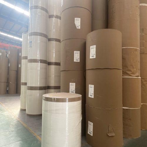PE coated paper roll product sample showing full roll