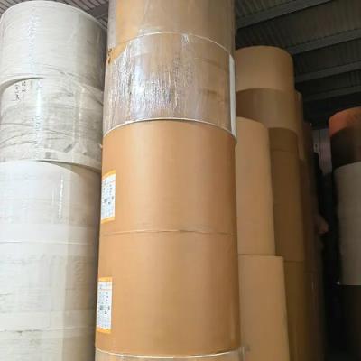China Single PLA Coated Cup Bottom Paper in Roll White Paper Roll for 100% Biodegradable Paper Cups Bottom Rolls for sale