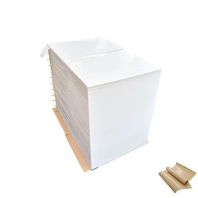 China Customized Sized Oil proof Food Grade Biodegradable Single PLA Coated Paper Sheet for sale