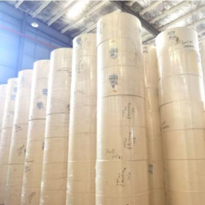China Greaseproof  Packing Takeaway Cups Raw Material Single PLA Coated Customized Paper Cup Roll for sale