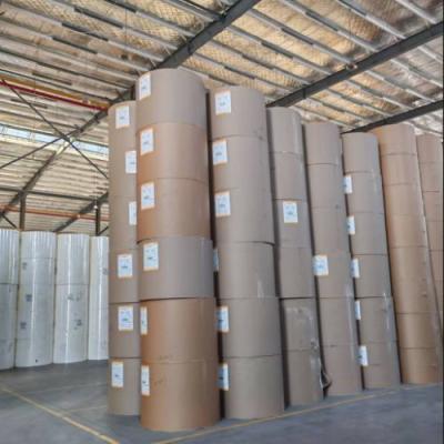 China Multi-Weight Options PE Coated Roll Paper for Hamburger Wrap and Coffee Cup Fan Making for sale