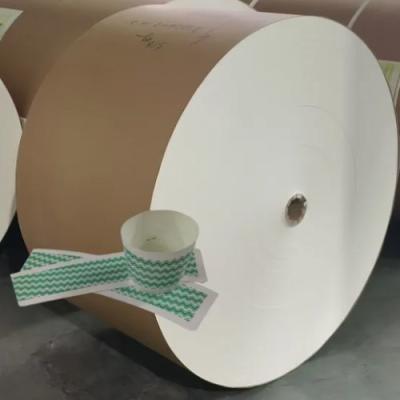 China 2oz 4oz 6oz 8oz 10oz Customized Large Paper Cup Roll Raw Materials PLA Coated Paper Roll for sale