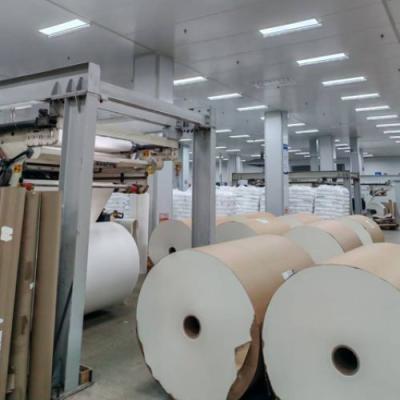 China Raw Recycled Material Paper Roll for Paper Cups PLA Coating Paper Rolls for Coffee Cup Making for sale