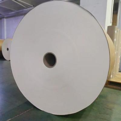 China Premium Moisture resistant  Food Grade PE Coated Paper Cup Rolls  With Single Double Wall for sale