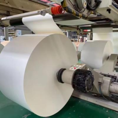 China PLA Coated Paper Roll with Single Biodegradable High Bulk Waterproof Greaseproof Various Colors Acceptable for sale