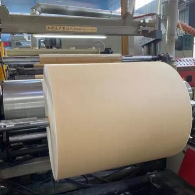 China Paper Cup Raw Material Roll 6oz 7oz 8oz Hot Coffee Tea Double PLA Coated Paper Roll for Making Cake Cup for sale