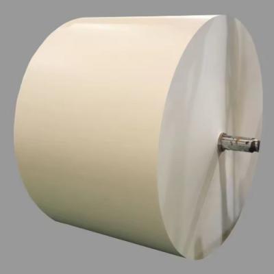 China PE Coated Paper Roll for Design and Branding on Packaging Materials for sale