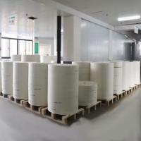 China Biodegradable PE Coated Paper Roll Single or Double Side Coating Accept for sale