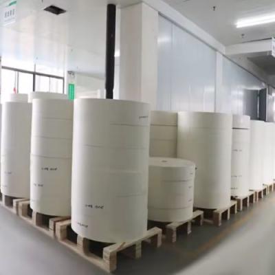 China High Temperature Resistant Paper Cup Bottom Roll with PE Coated for sale