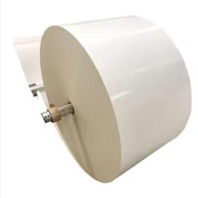 China PLA Coated Paper Roll for Food Packaging and Disposable Tableware Applications for sale