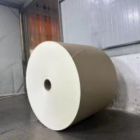 China PLA Coated Paper Roll High Bulk Compostable Biodegradable Raw Material for sale