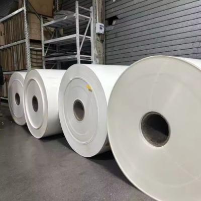 China Brand Raw Material Accept PLA Coated Paper Roll in Packaging and Labeling Sectors for sale
