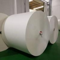 China Customized Printed Logo Eco-friendly PE Coated Paper Roll Compostable for sale