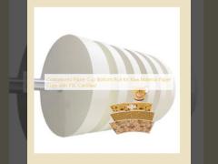 100% de pâte de bois Matériau de base de papier Ruloir de fond de tasse pour la fabrication de tasses en papier revêtues de PE