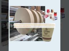 Rolo de fundo de taça de papel personalizado para taças de papel de matéria-prima com certificado FSC