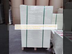 Rolo de papel de revestimento PE de duas faces, à prova de óleo e à prova d'água, rolo de copos de papel descartável