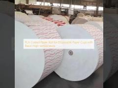 生物分解性 PLA コーティング 紙 150 - 350 Gsm 一回用 食器用