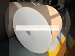 Rolo de papel revestido com PLA biodegradável 150 - 350 Gsm para soluções de embalagem de alimentos