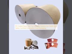 PE Coated Paper Roll The Ultimate Solution for Health and Safety Certified Disposable Food Packaging