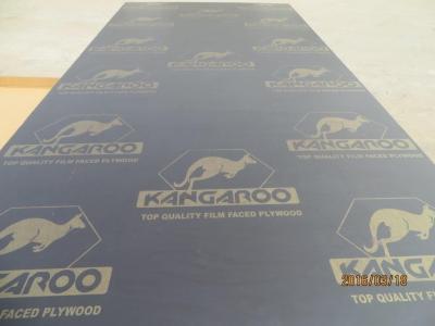 China KANGAROO' BRAND FILM FACED PLYWOOD, POPLAR CORE, WBP MELAMINE GLUE, BROWN PRINTED FILM for sale