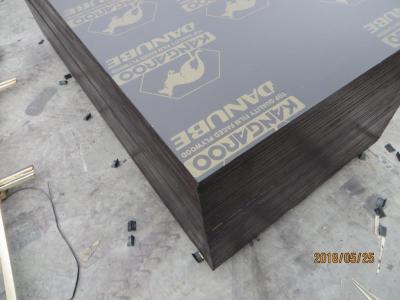 China 'KANGAROO' BRAND FILM FACED PLYWOOD, 18mm film faced plywood shuttering plywood for sale