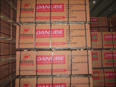 China 'KANGAROO' BRAND FILM FACED PLYWOOD, poplar 18mm film faced plywood with logo for sale