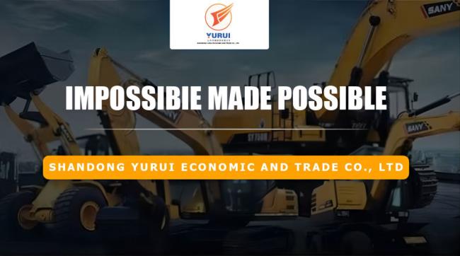 Track Chain Assembly Crawler Crane Excavator Bulldozer Undercarriage Parts Supplier Sell