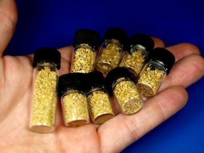 China Gold Dust for sale