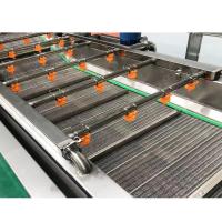 China Industrial Fruit And Vegetable Processing Line for sale