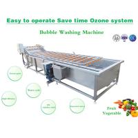 China SS304 Fruit And Vegetable Processing Line Bubble Washing Machine for sale