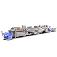 China Mufti Function Fruit And Vegetable Processing Line Food Grade Bubble Washer for sale
